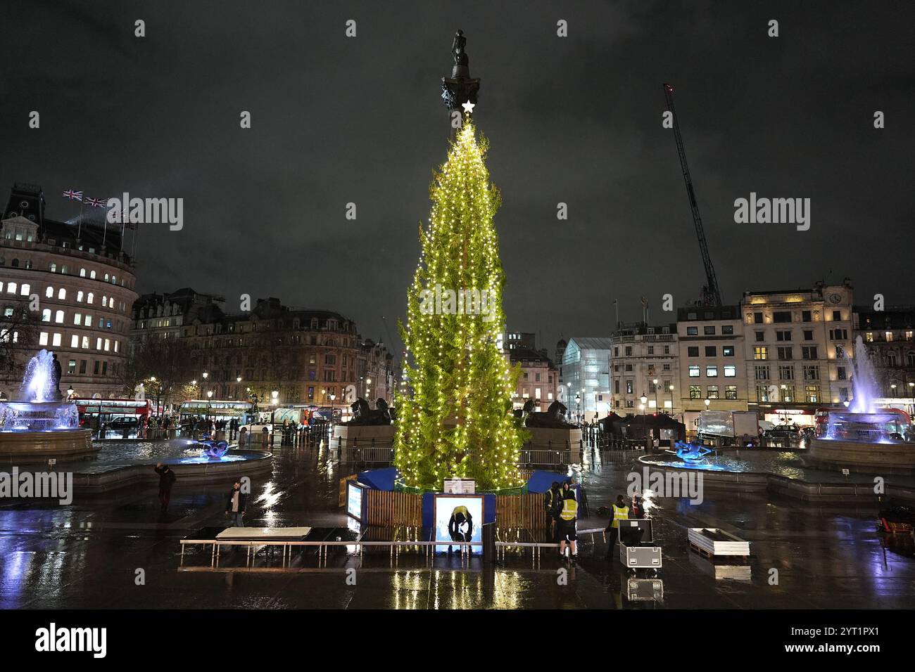 The illuminated Christmas Tree in Trafalgar Square, London. The tree is an annual gift to ...