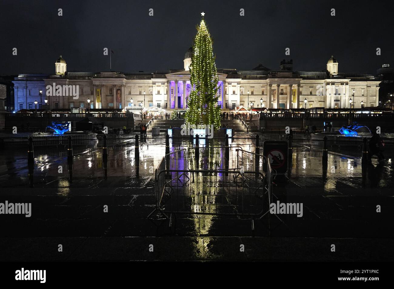 The illuminated Christmas Tree in Trafalgar Square, London. The tree is an annual gift to ...