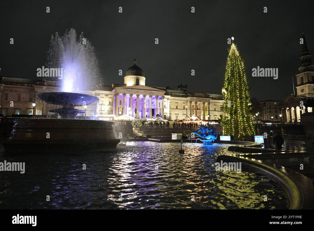 The illuminated Christmas Tree in Trafalgar Square, London. The tree is an annual gift to ...