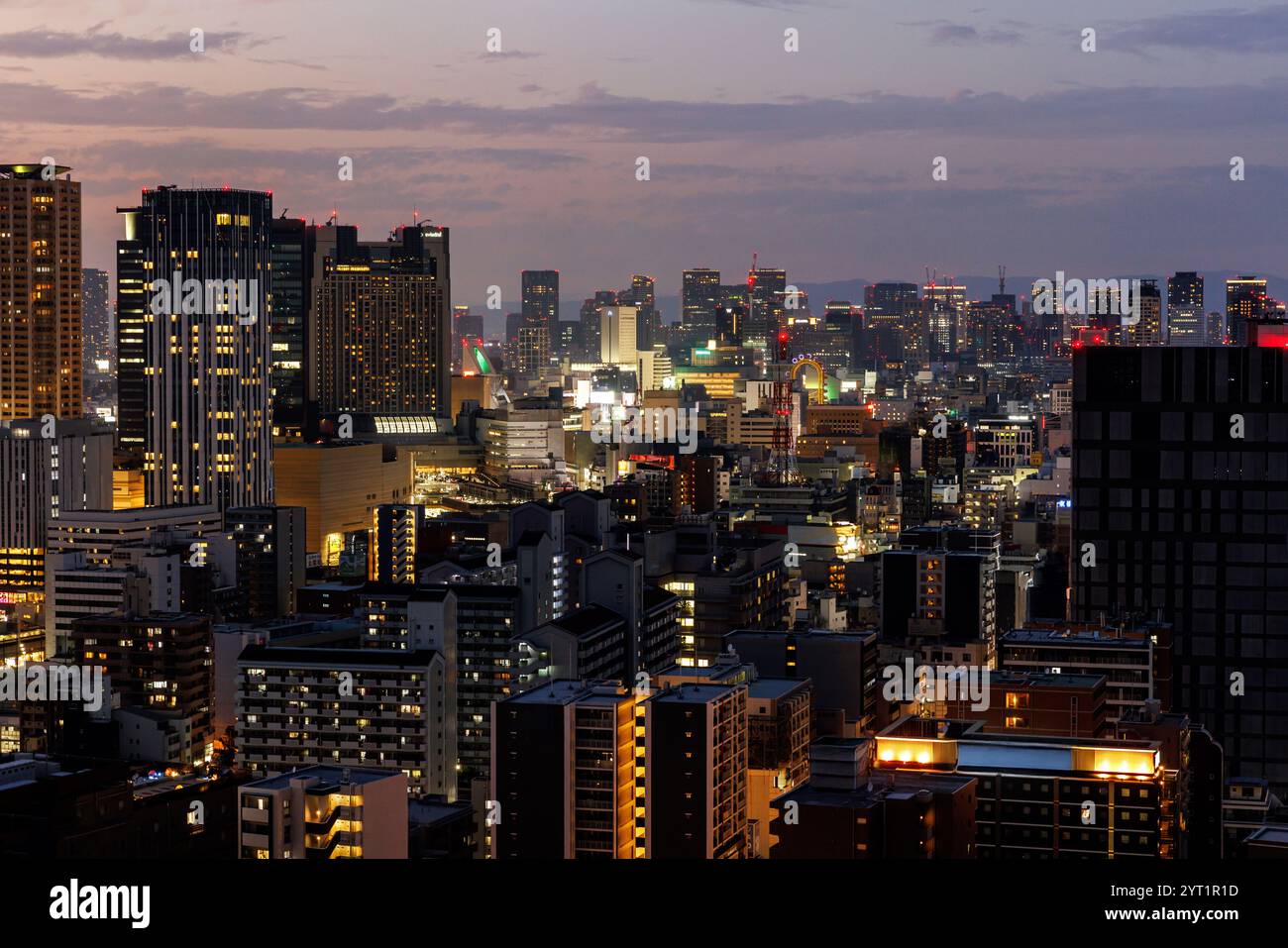 Urban Osaka skyline illuminated at night, showcasing modern ...