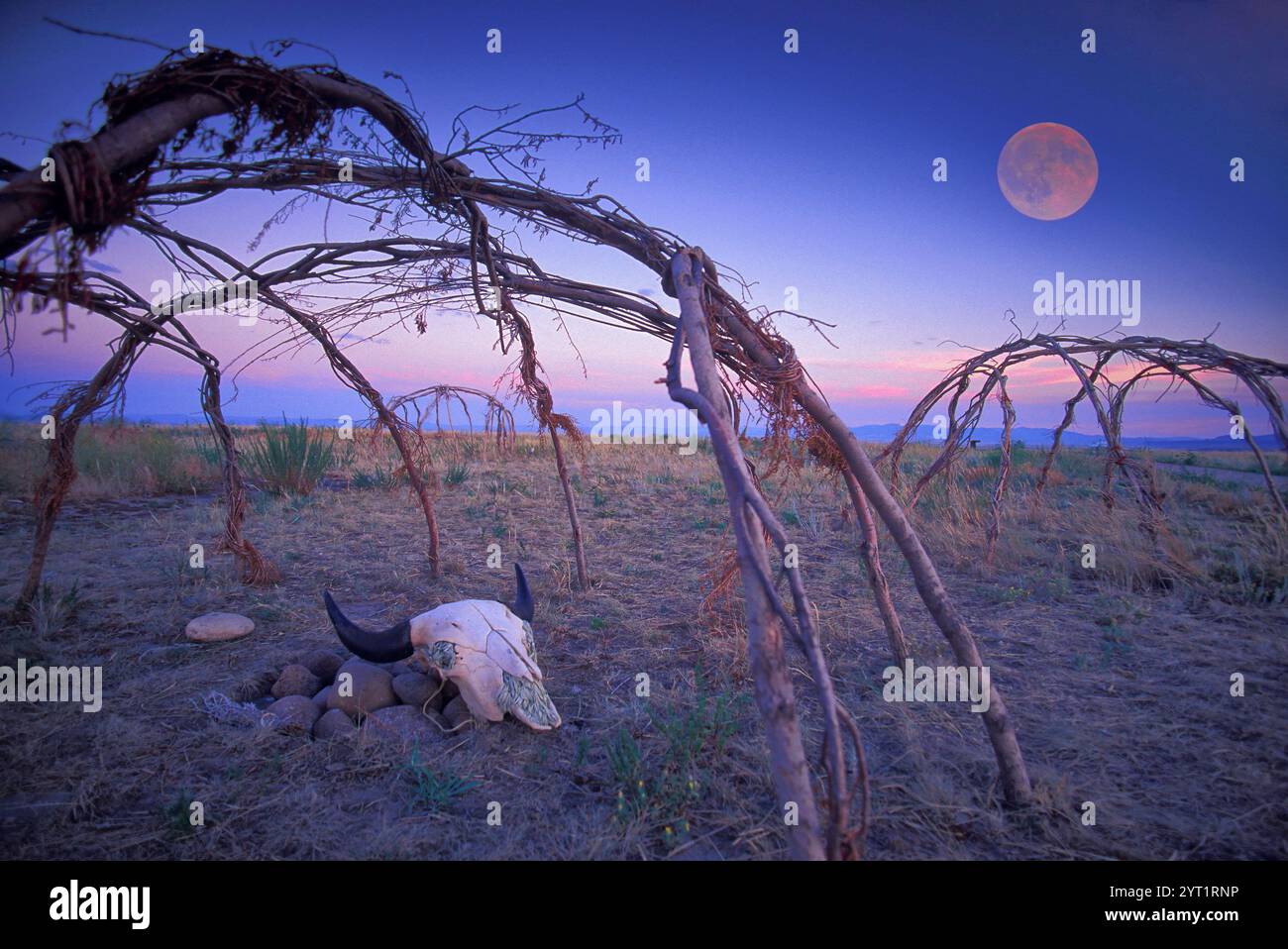 Blackfeet Indian Sweat Lodge with Bison Skull, Ulm Pishkun State ...