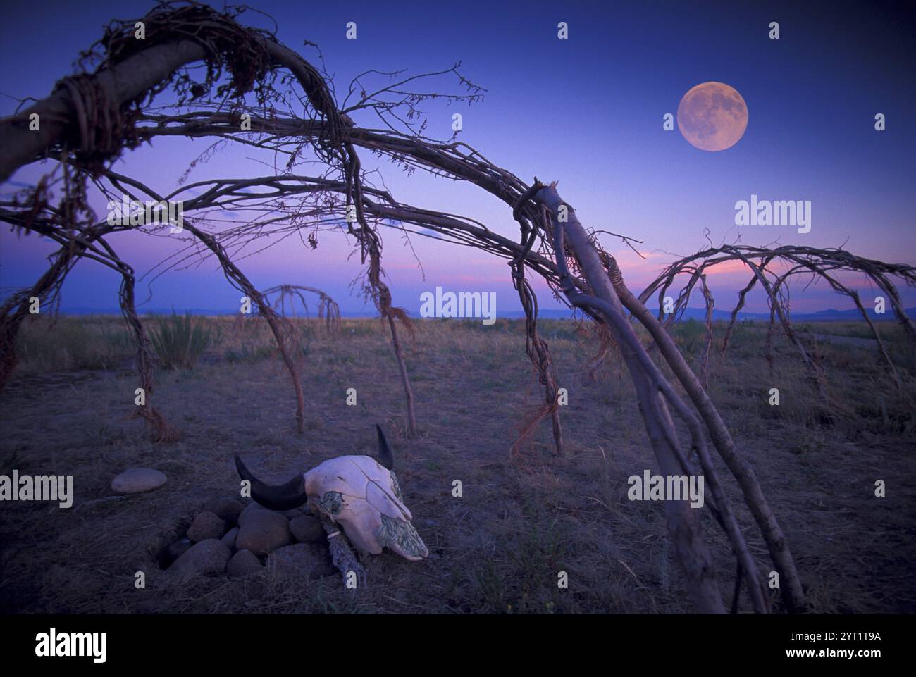 Blackfeet Sweat Lodge with full moon and Bison Skull, Ulm Pishkun ...