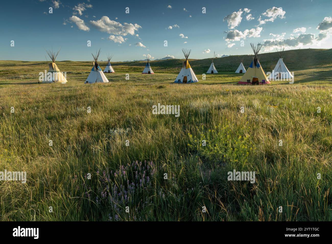 USA; Montana, Blackfeet Indian Reservation, Browning, Lodgepole Gallery ...