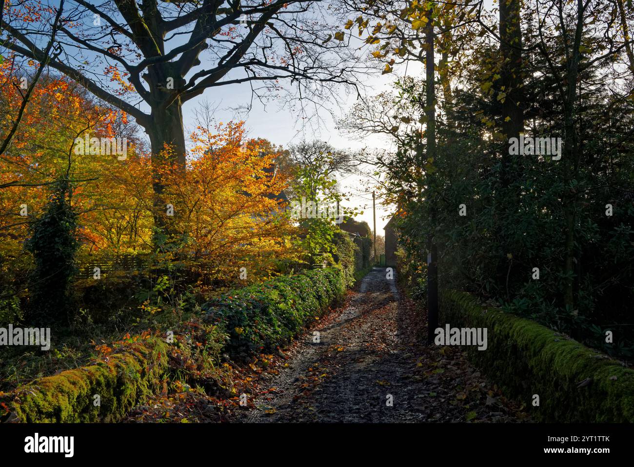 Wooded lane to Chesham Green, Bury, England Stock Photo - Alamy