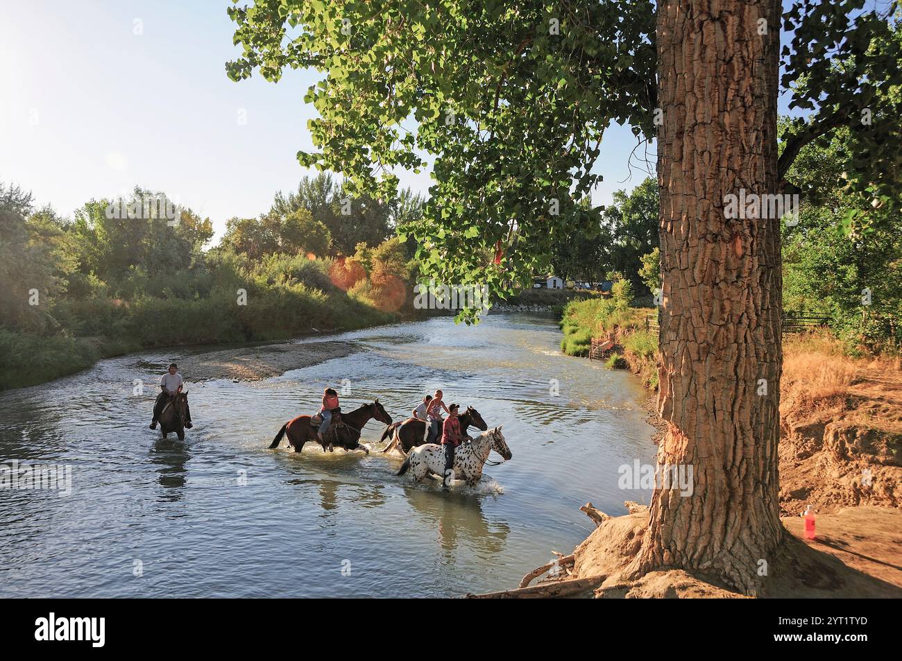 USA, Rocky Mountains, Montana, Crow Indian Reservation, Crow Fair ...