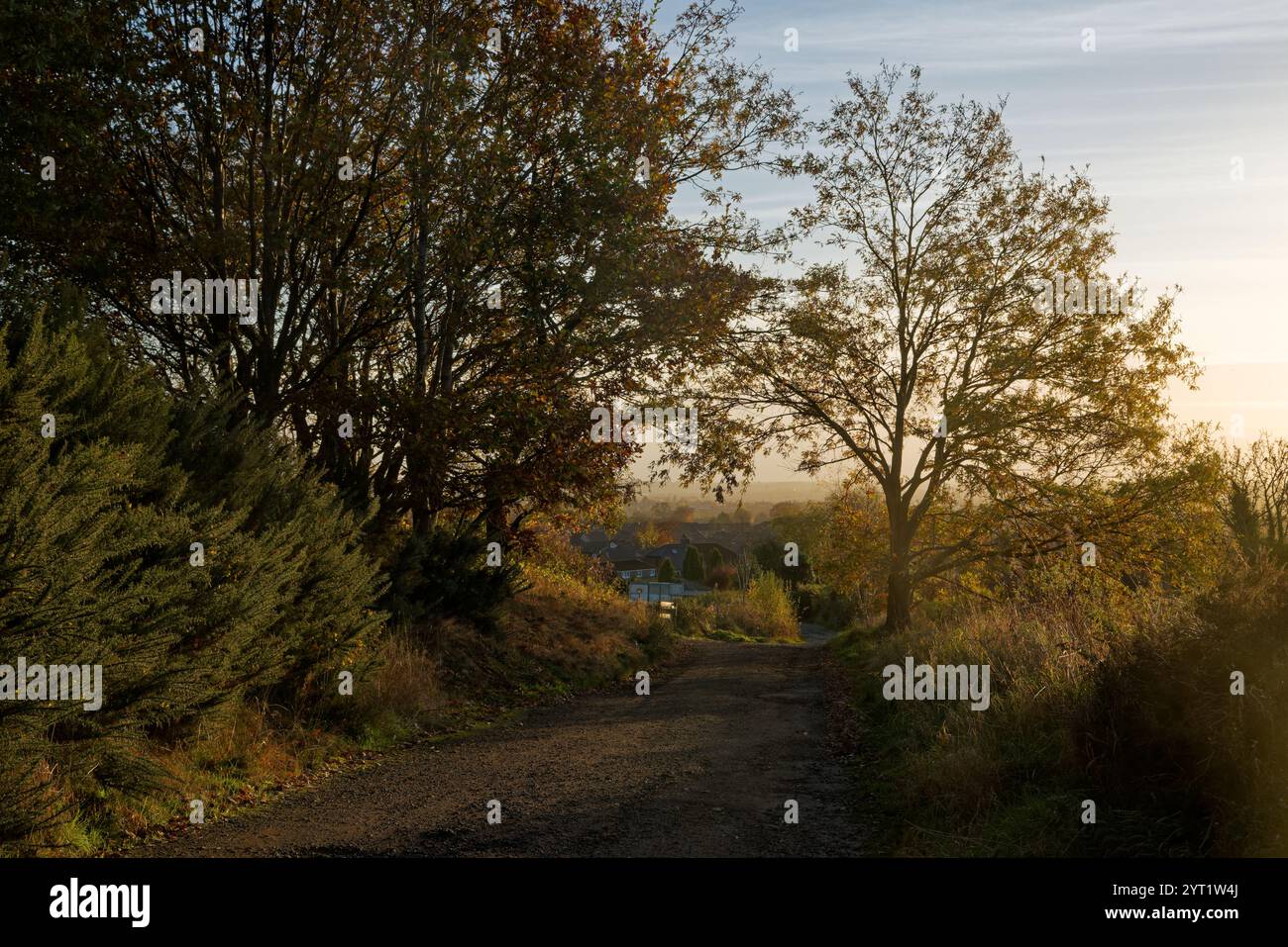 Autumn colour along a wooded track, Walmersley, Bury, England Stock ...