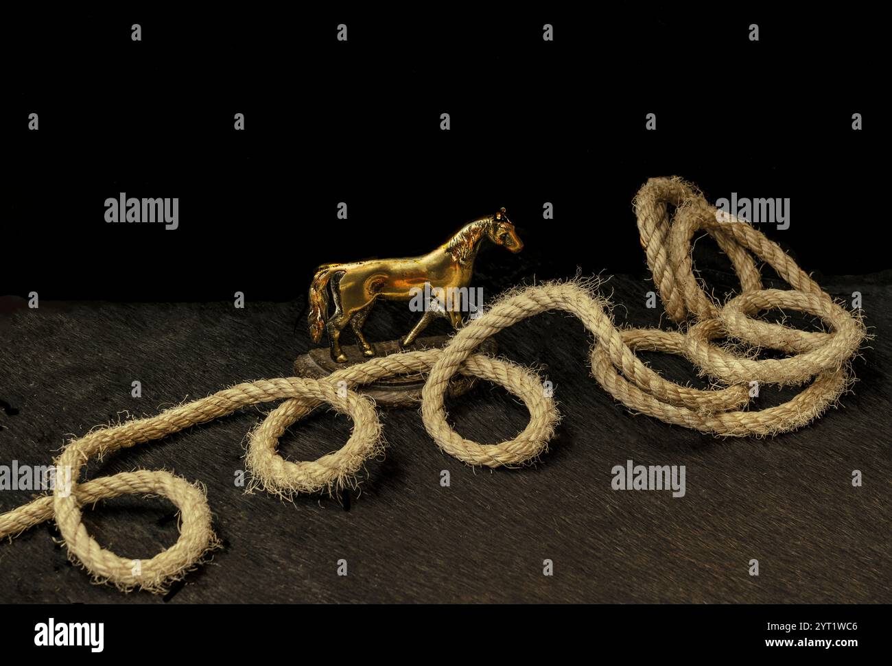 Metal horse statue walks near rope loops. The rope makes circles & is ...