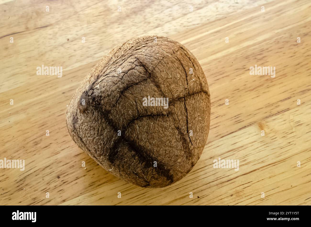 A Whole Dried Coconut Endosperm Stock Photo - Alamy