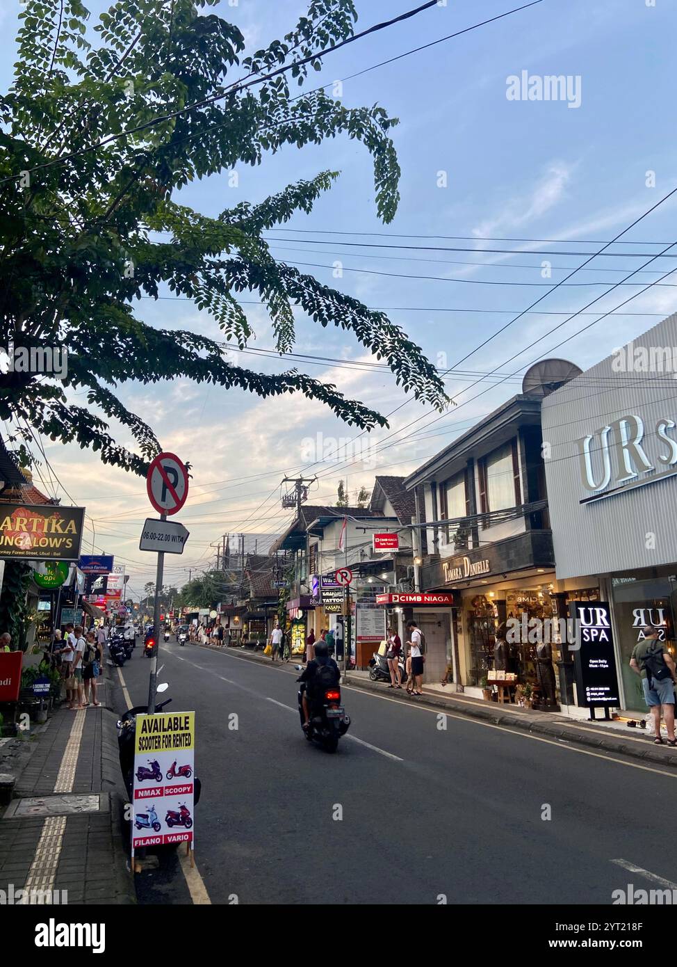 Ubud, Indonesia - August 8 2024: Bustling Evening Street in Ubud, Bali: A Blend of Shops ...