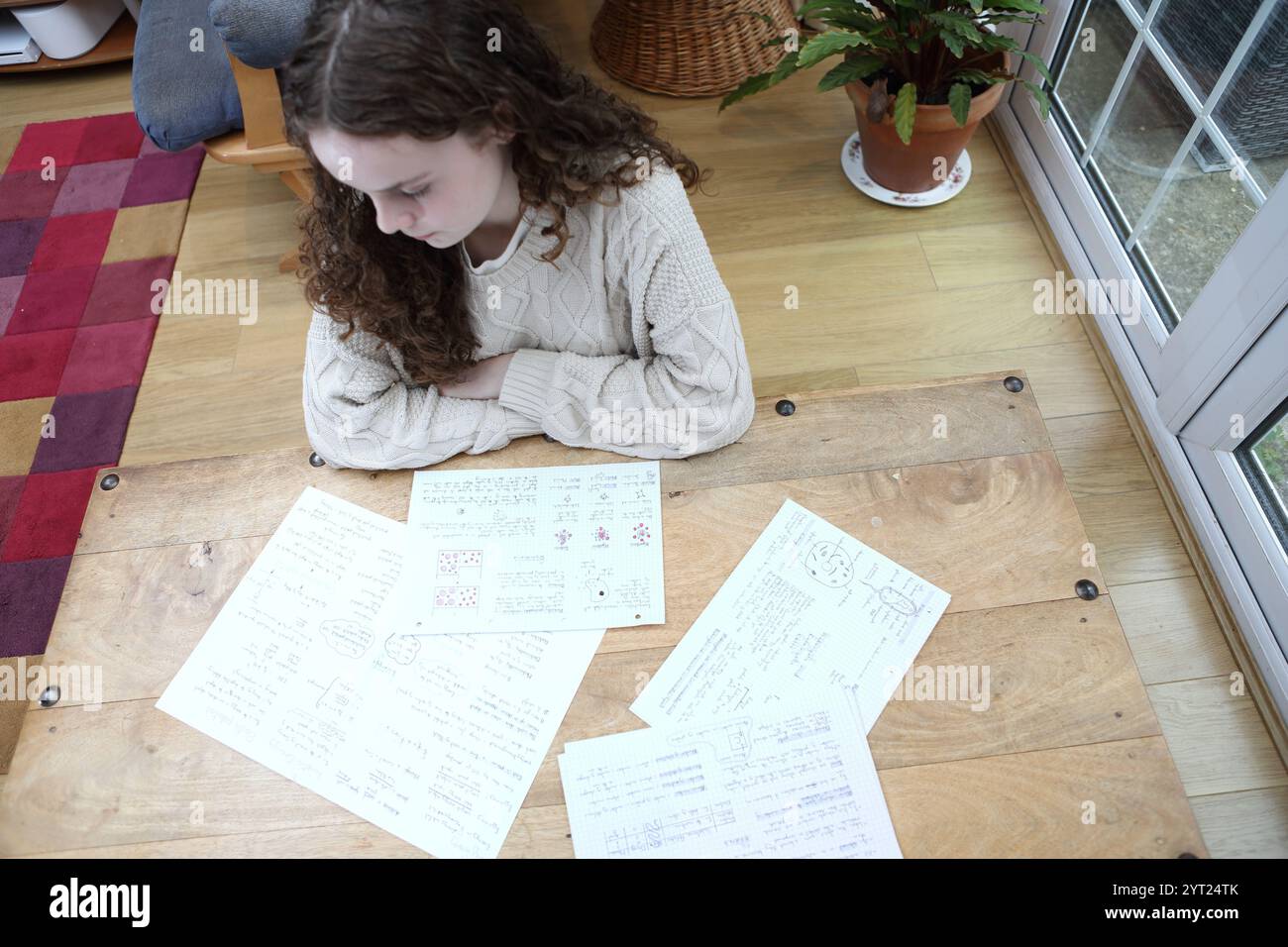 Teenager studying revising science biology cell structure GCSE drawing ...