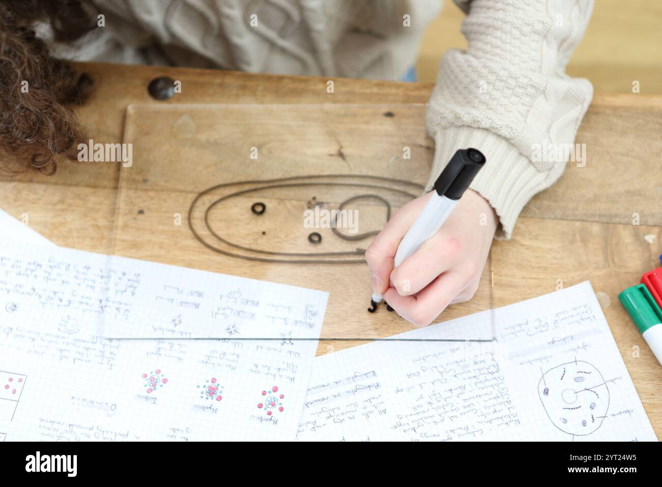 Teenager studying revising science biology cell structure GCSE drawing ...