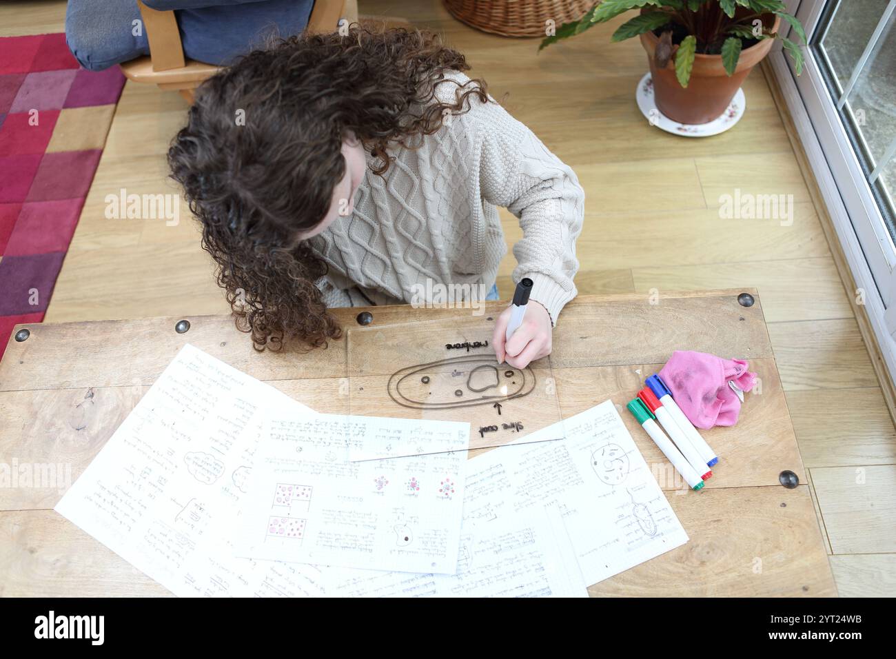 Teenager studying revising science biology cell structure GCSE drawing ...
