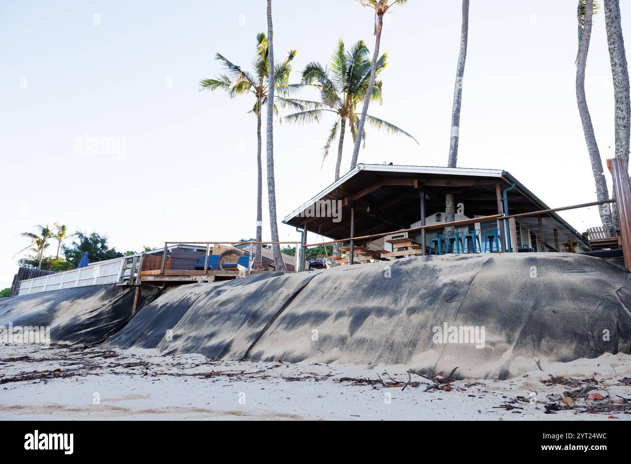 Dec 1 2024. North Shore, Oahu, HI. Sand filled membranes known as sand ...