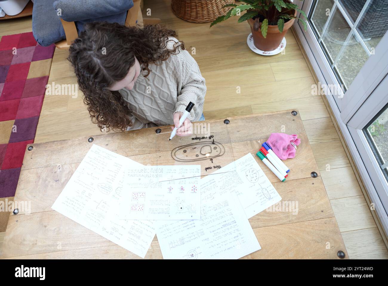 Teenager studying revising science biology cell structure GCSE drawing ...