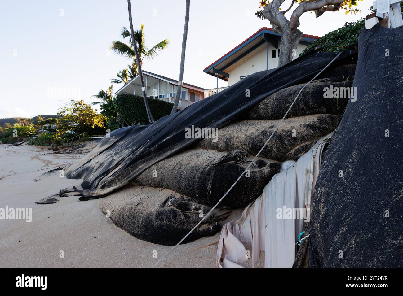 Dec 1 2024. North Shore, Oahu, HI. Sand filled membranes known as sand ...