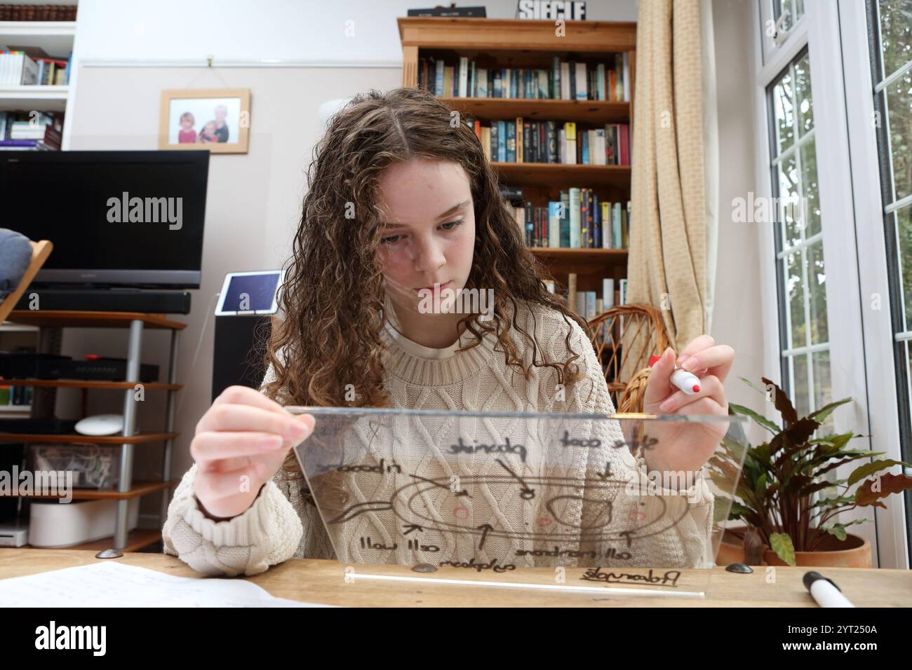 Teenager studying revising science biology cell structure GCSE drawing ...