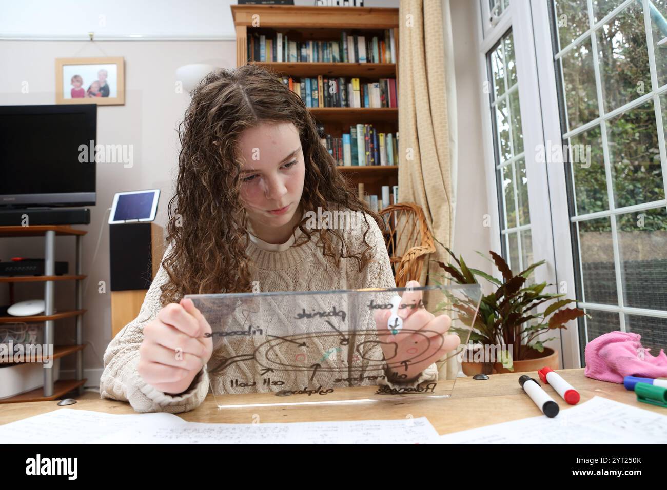 Teenager studying revising science biology cell structure GCSE drawing ...