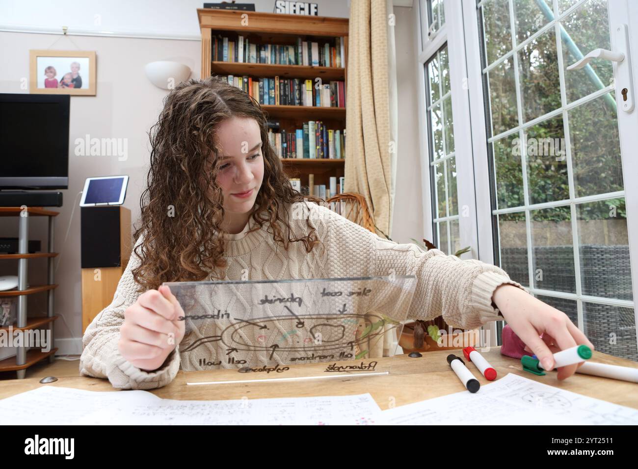 Teenager studying revising science biology cell structure GCSE drawing ...