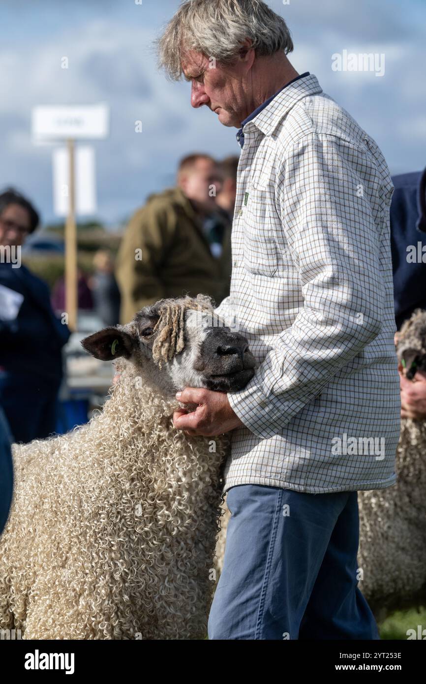 Farmers showing sheep at the Westmorland Show 2024. This two day event ...