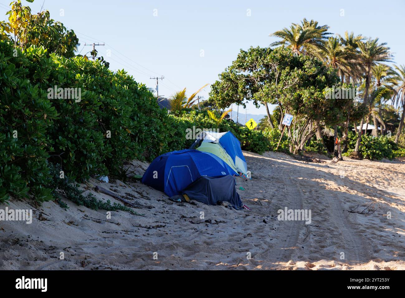 Homelessness in hawaii hi-res stock photography and images - Alamy