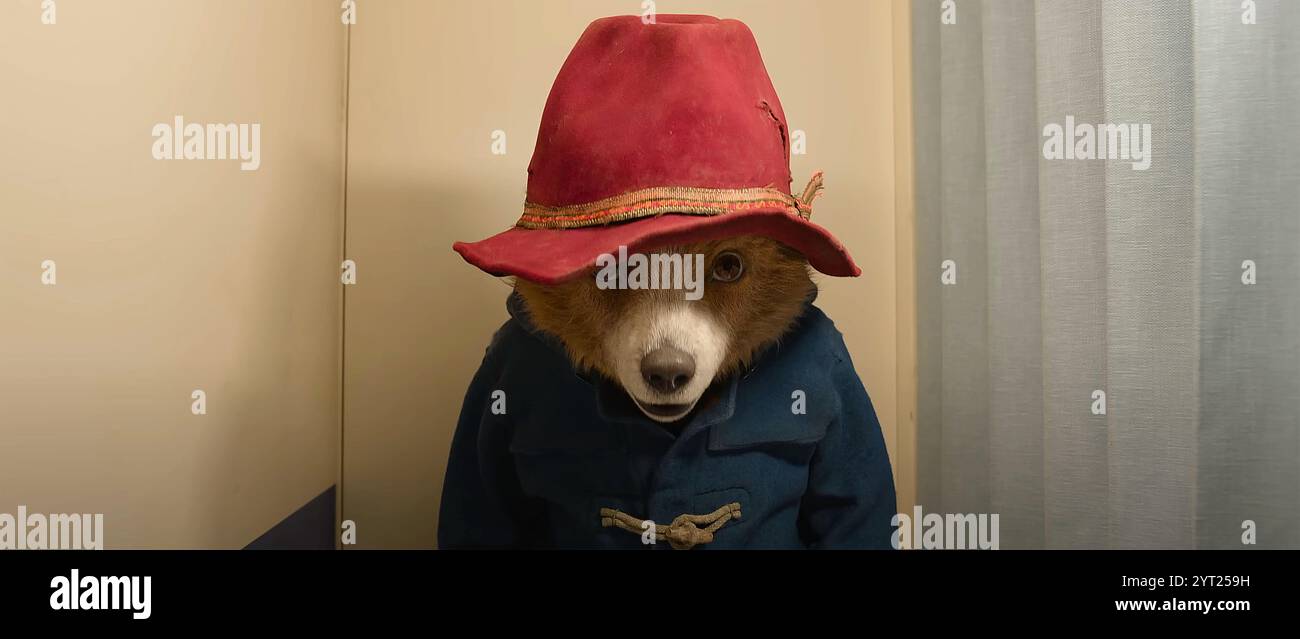 PADDINGTON IN PERU - FILM STILLS. 2024 . UK. Paddington in Peru - (C)StudioCanal/Sony - is a ...