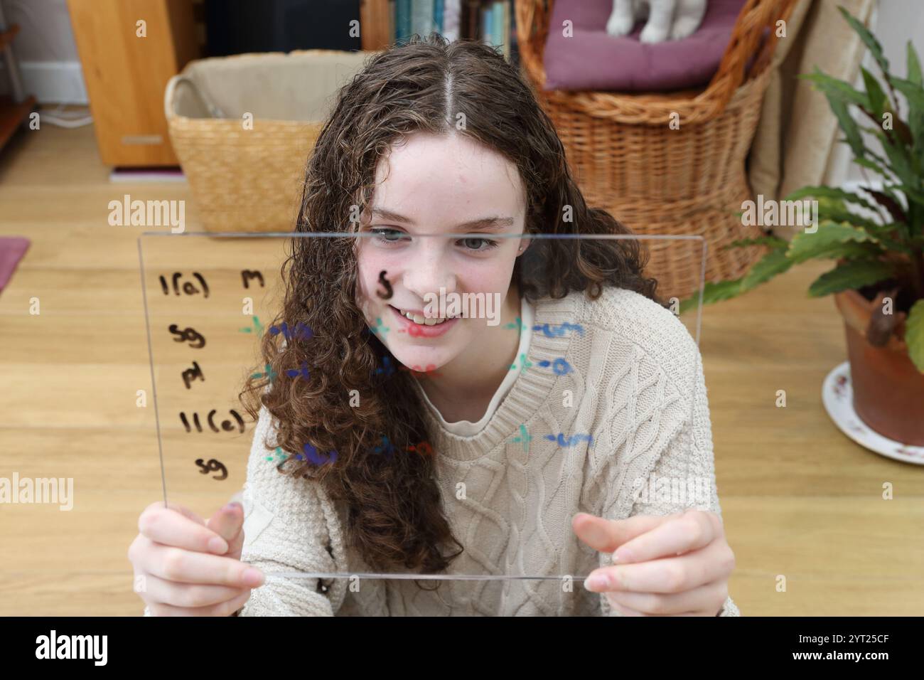 Teenage girl revising Latin on a whiteboard revision learning student ...
