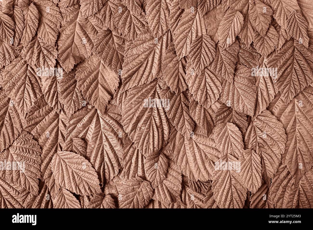 Abstract background made of raspberry leaves. Mockup for your text and ...