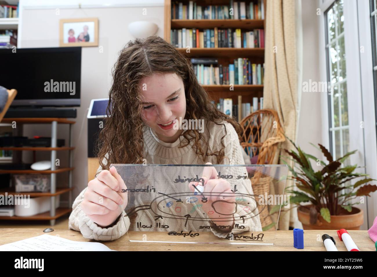 Teenager studying revising science biology cell structure GCSE drawing ...