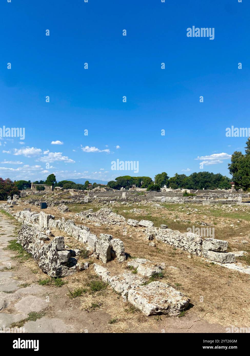 Expansive View of Ancient Roman Ruins in Paestum, Italy: A Historic ...