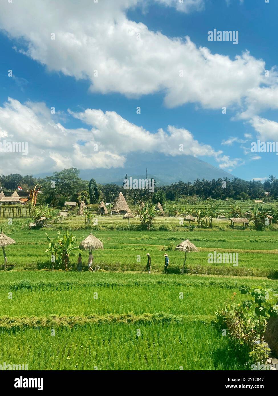 Stunning Rice Terraces with Traditional Huts and Majestic Mount Agung ...