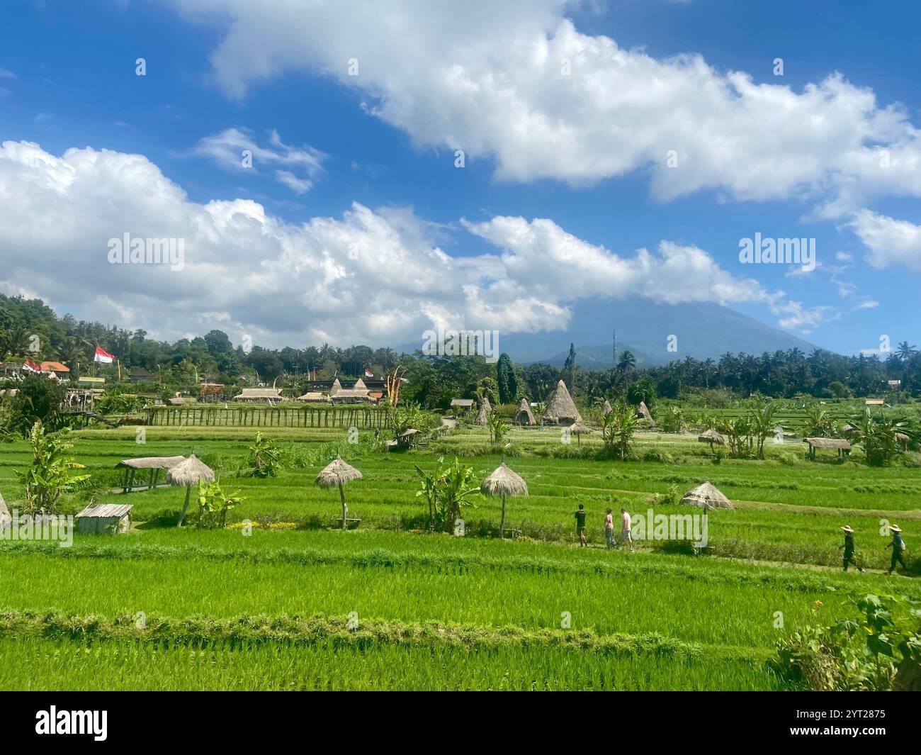 Stunning Rice Terraces with Traditional Huts and Majestic Mount Agung ...