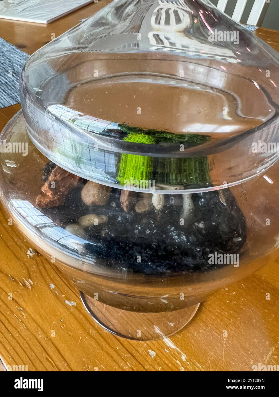 School Science Project Miniature Terrarium Ecosystem Stock Photo - Alamy