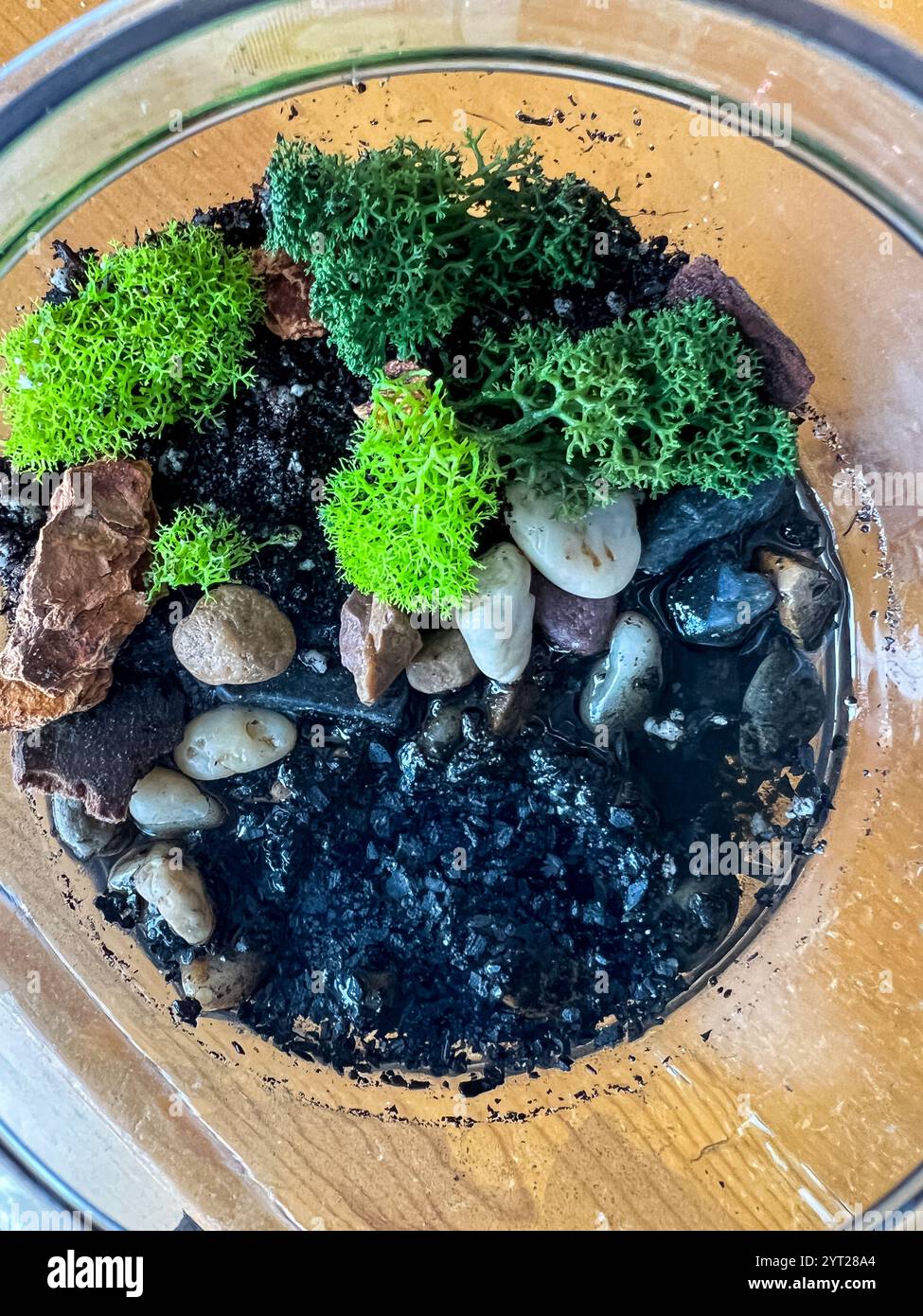 School Science Project Miniature Terrarium Ecosystem Stock Photo - Alamy