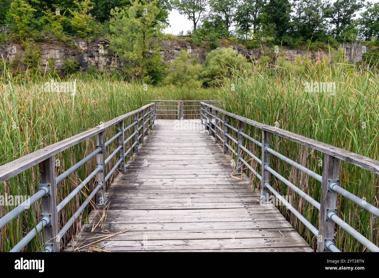Boardwalk over marshland Stock Photo - Alamy