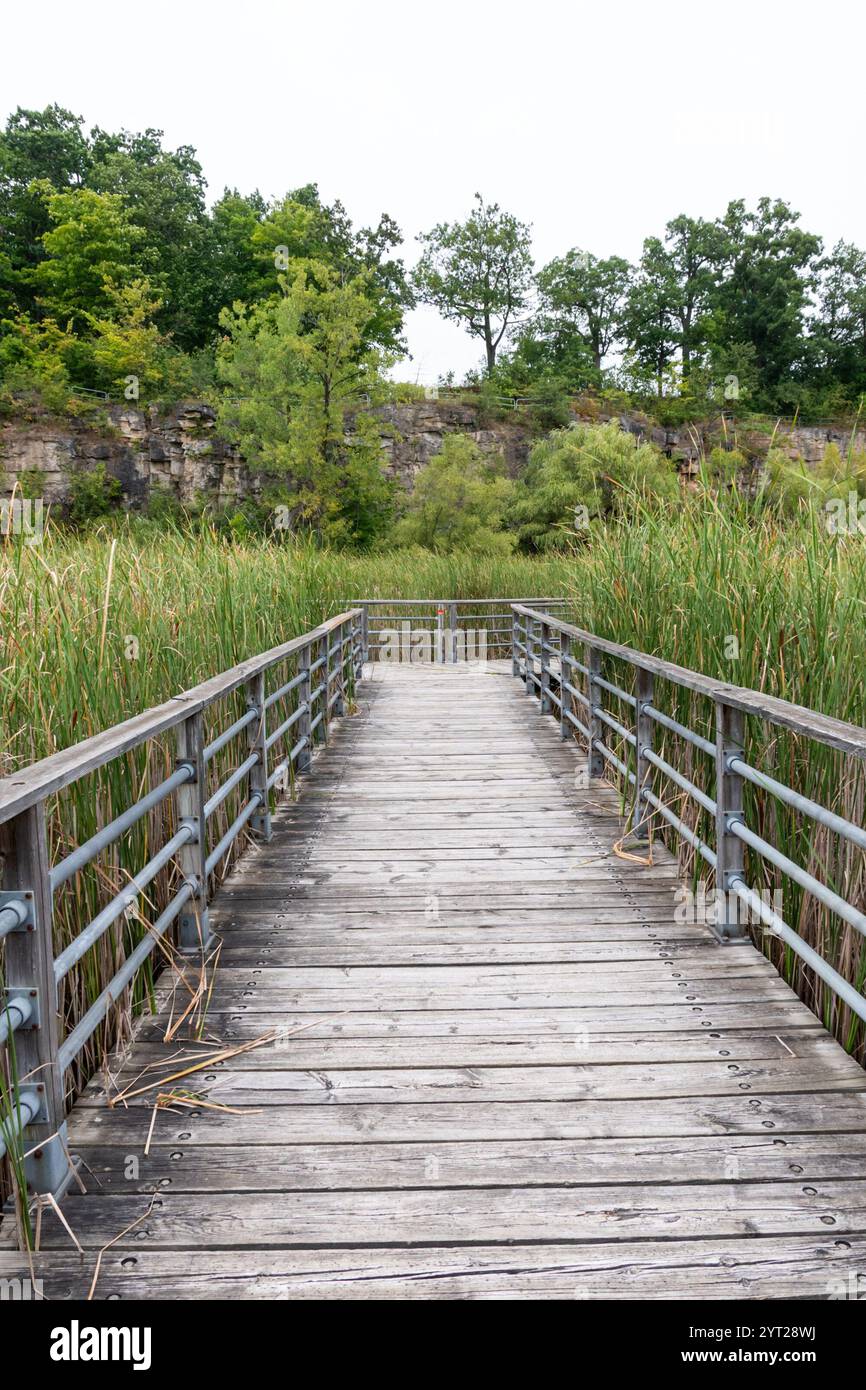 Boardwalk over marshland Stock Photo - Alamy