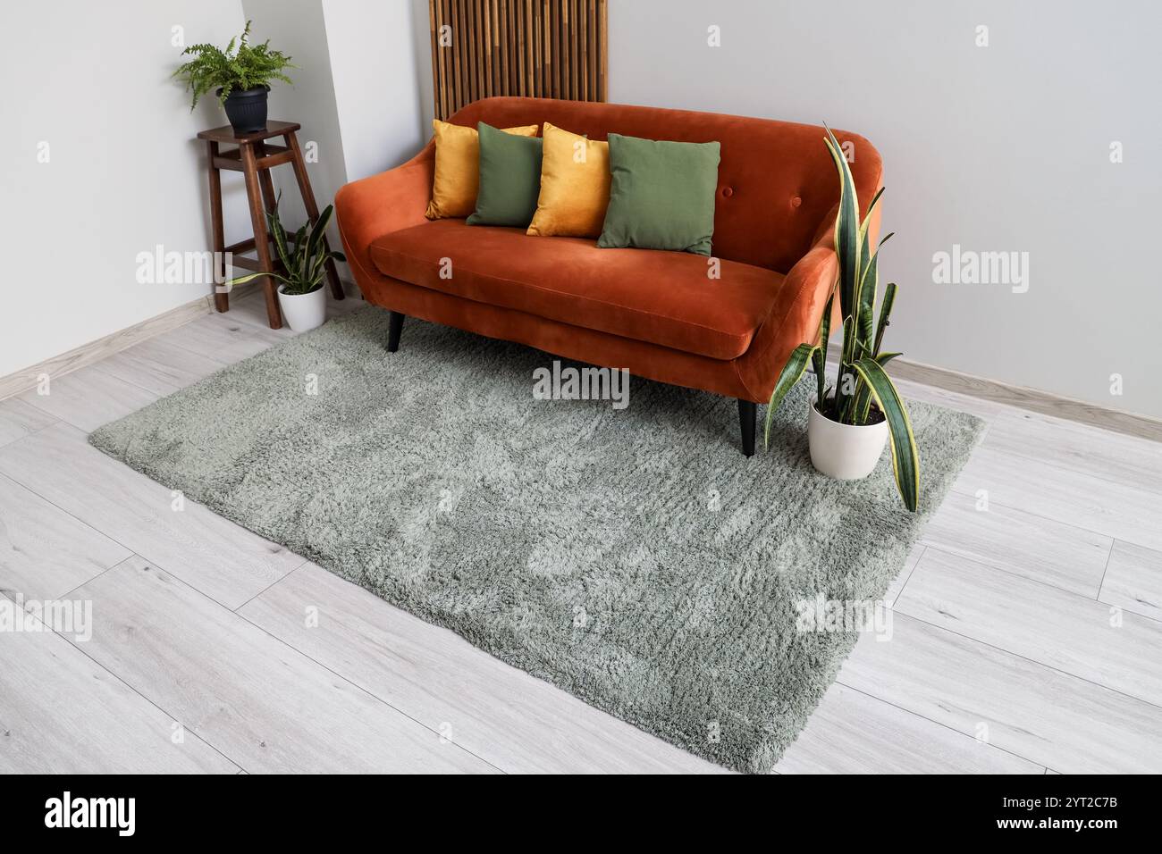 Interior of living room with green carpet, sofa and plants Stock Photo ...