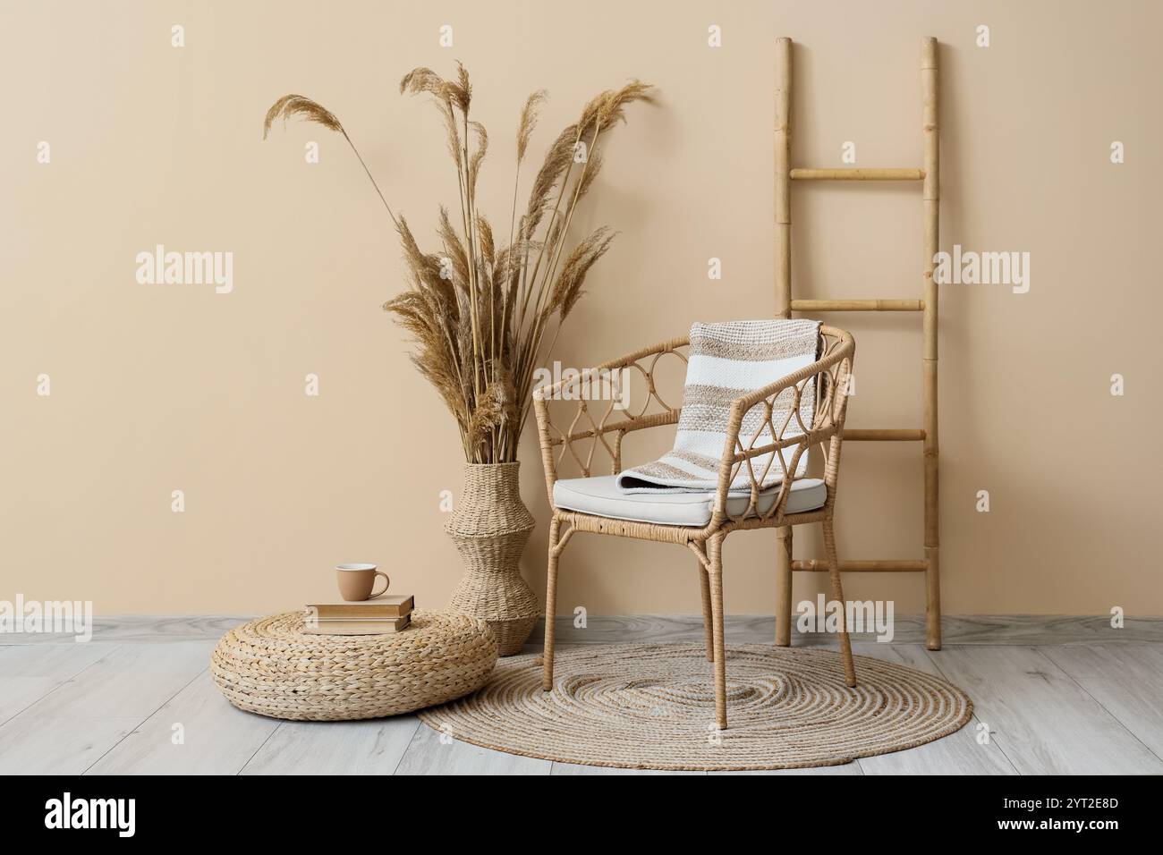 Interior of living room with wicker armchair, ladder and pampas grass ...