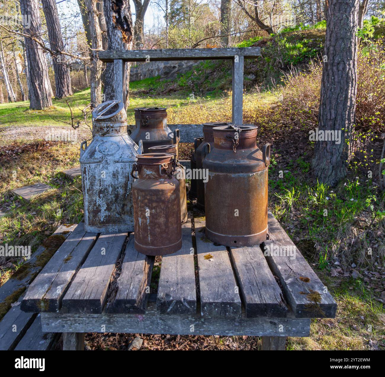 Rustic milk cans atop a weathered wooden table by a rural road, evoking ...