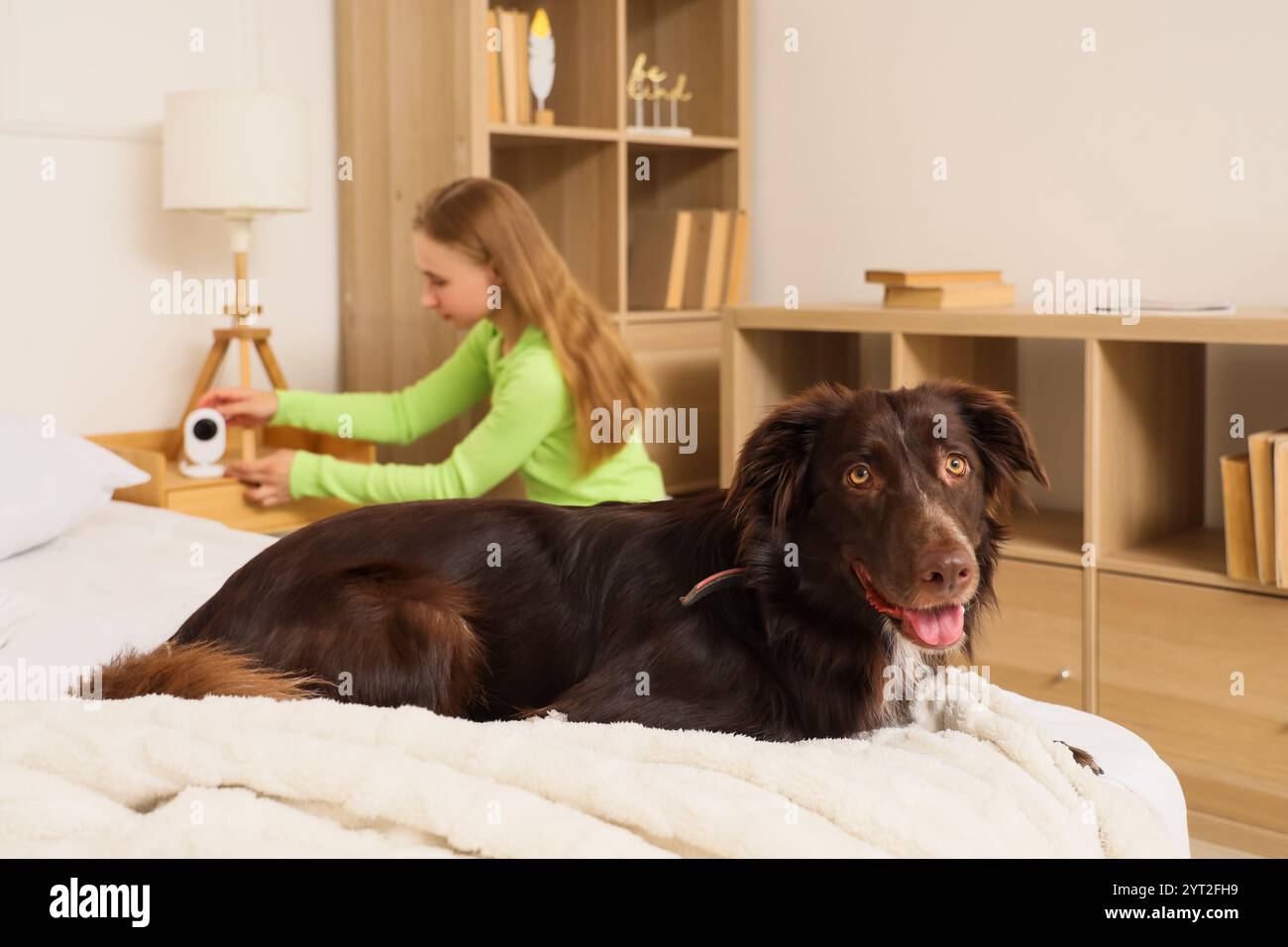 Cute dog lying against woman installing CCTV camera in bedroom Stock ...