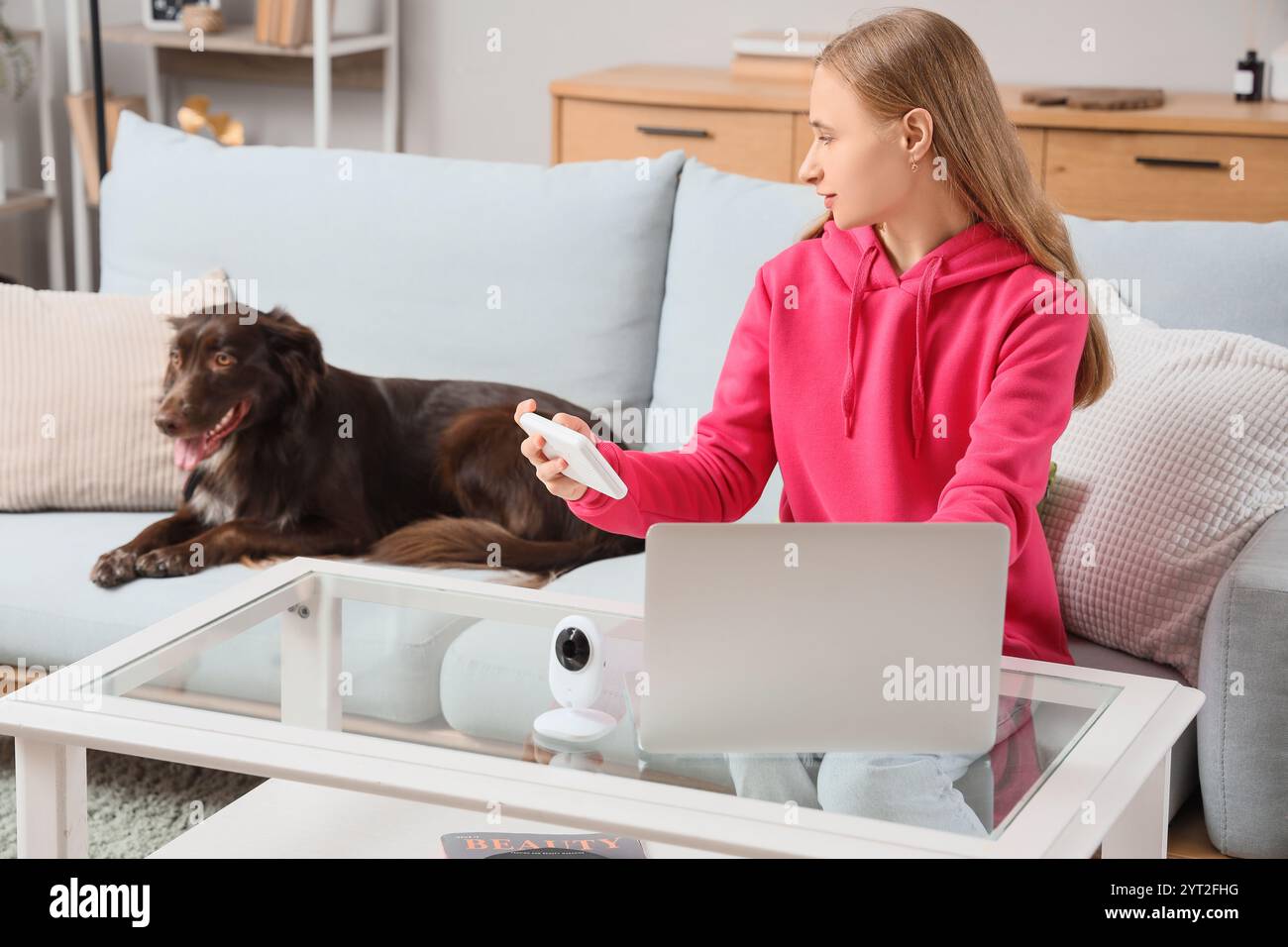 Cute dog with woman installing CCTV camera at home Stock Photo - Alamy