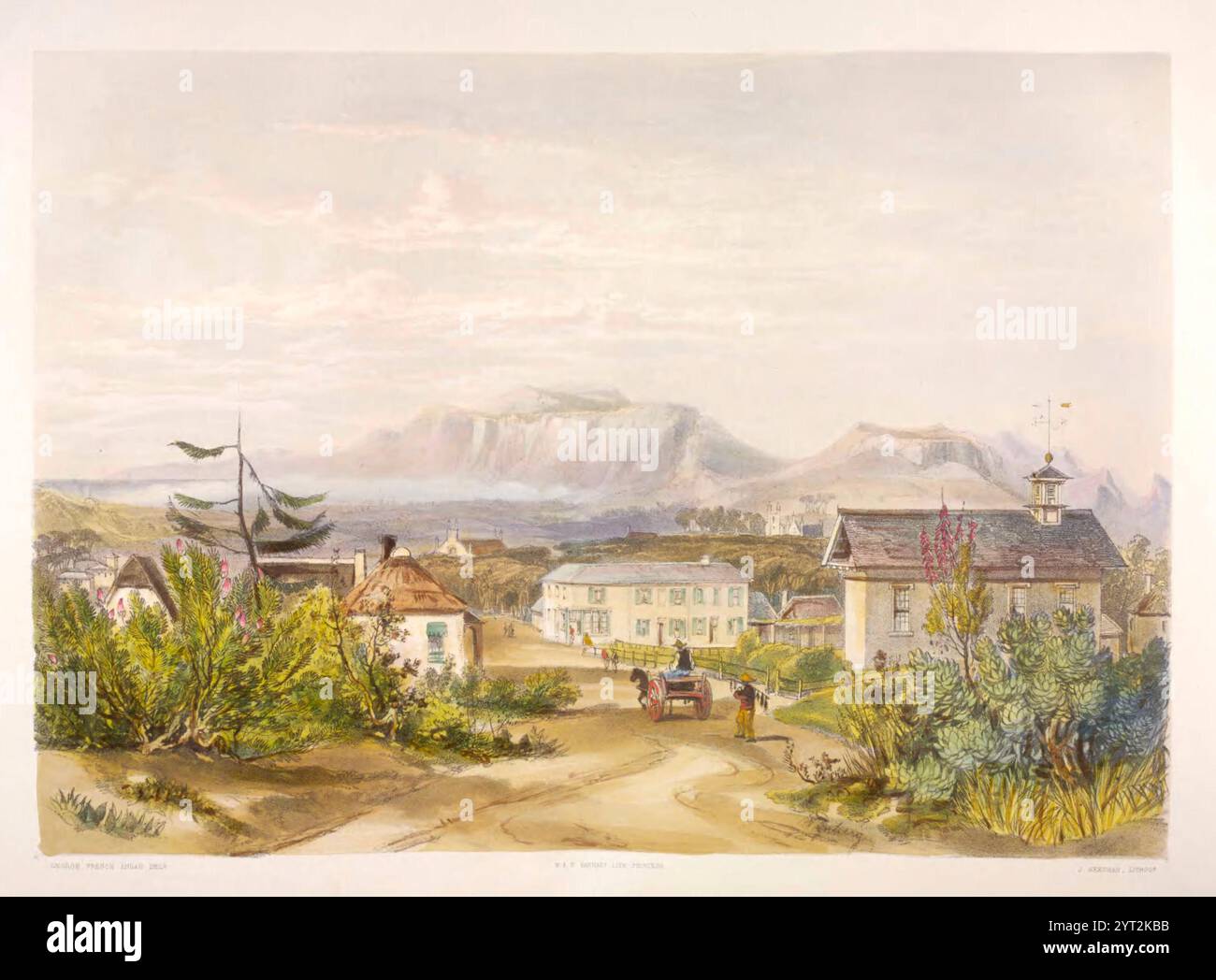 Wynberg. Vintage Lithograph of South Africa, by George French Angas ...