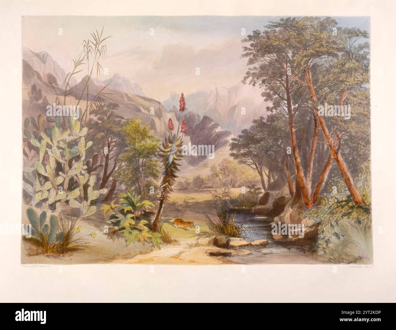 Bavian's Kloof, (the glen of babboons) Genadendal. Vintage Lithograph ...
