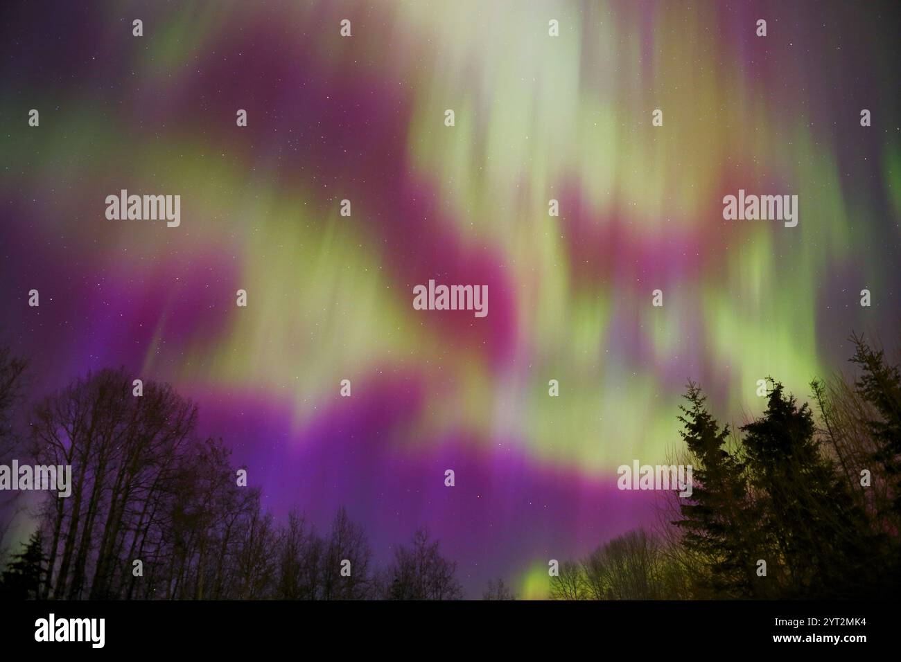 Spectacular Light show of colorful Northern Lights, Aurora borealis on ...