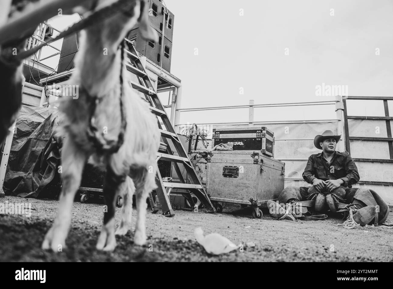 Sonora State Rodeo Arena at the Sonora Regional Livestock Union on ...
