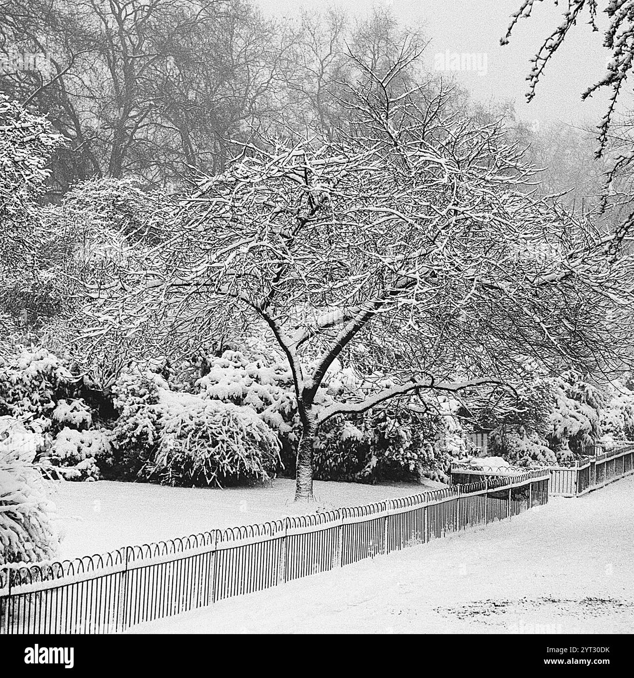 Fall london park Black and White Stock Photos & Images - Alamy