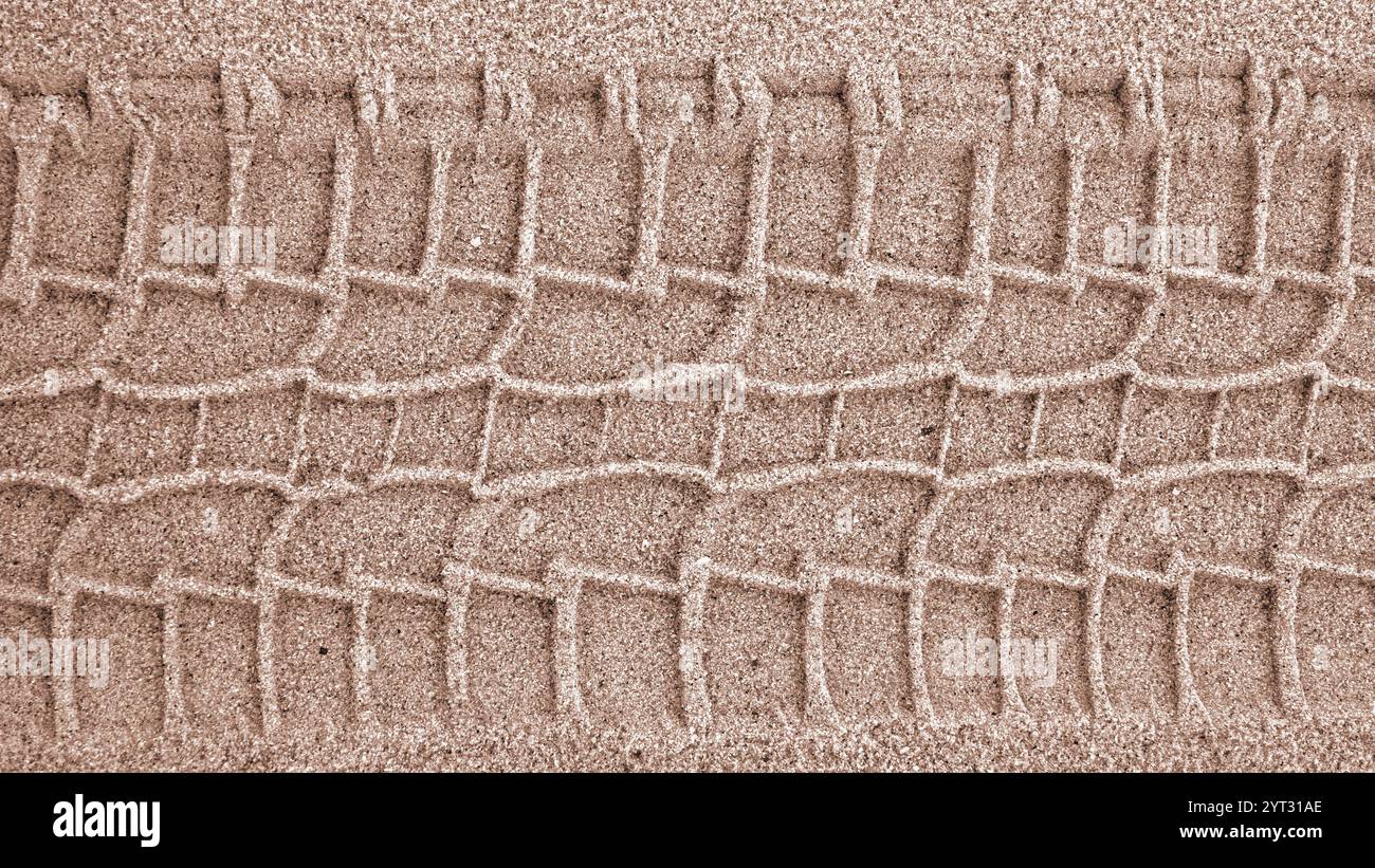 Detailed View of a Tire Track Left on a Sandy Beach Shoreline, Colour ...