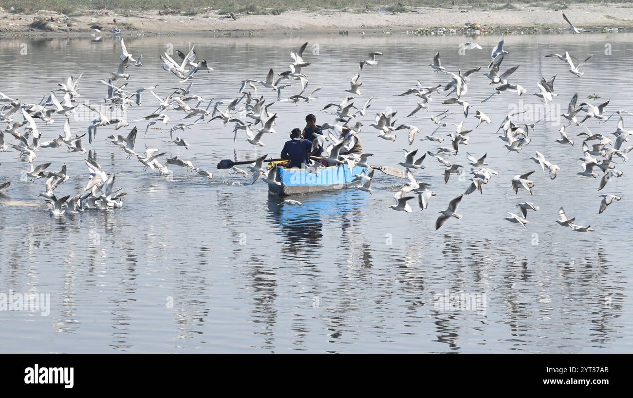 New Delhi, India. 04th Dec, 2024. NEW DELHI, INDIA - DECEMBER 5 ...