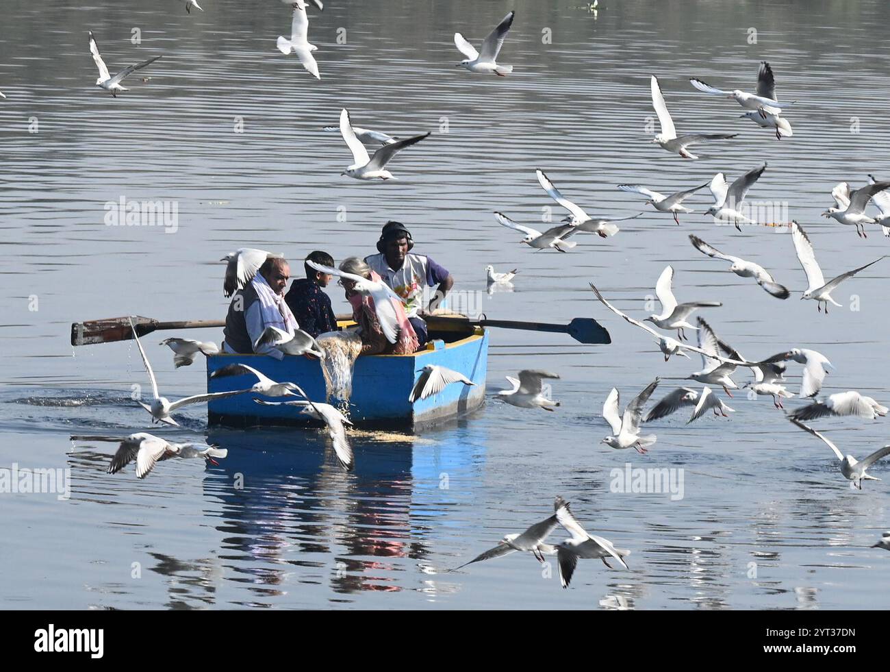 New Delhi, India. 04th Dec, 2024. NEW DELHI, INDIA - DECEMBER 5 ...