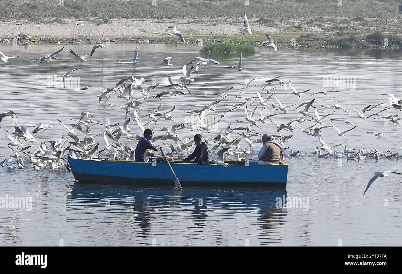 New Delhi, India. 04th Dec, 2024. NEW DELHI, INDIA - DECEMBER 5 ...