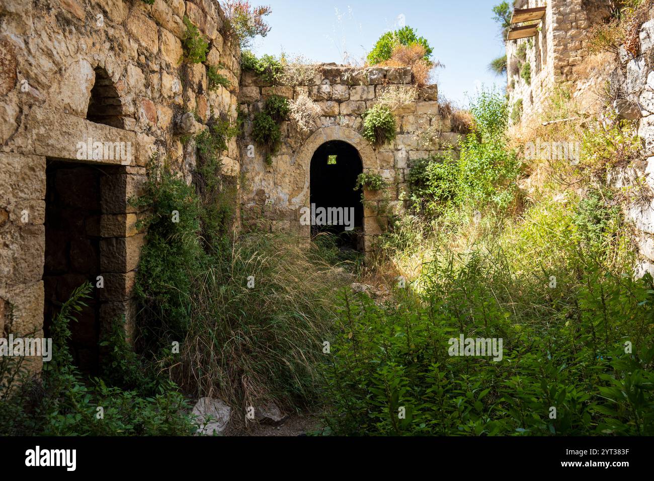 Ancient Stone House Ruins Overgrown with Vegetation in Lifta Village ...